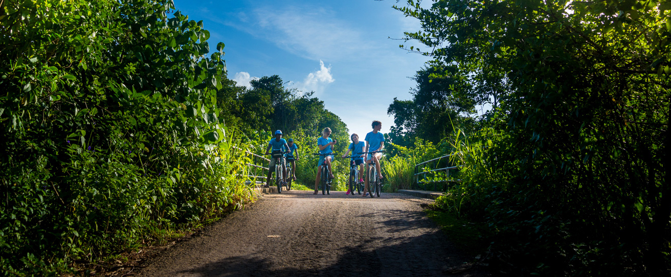 Bike - The Island Insider