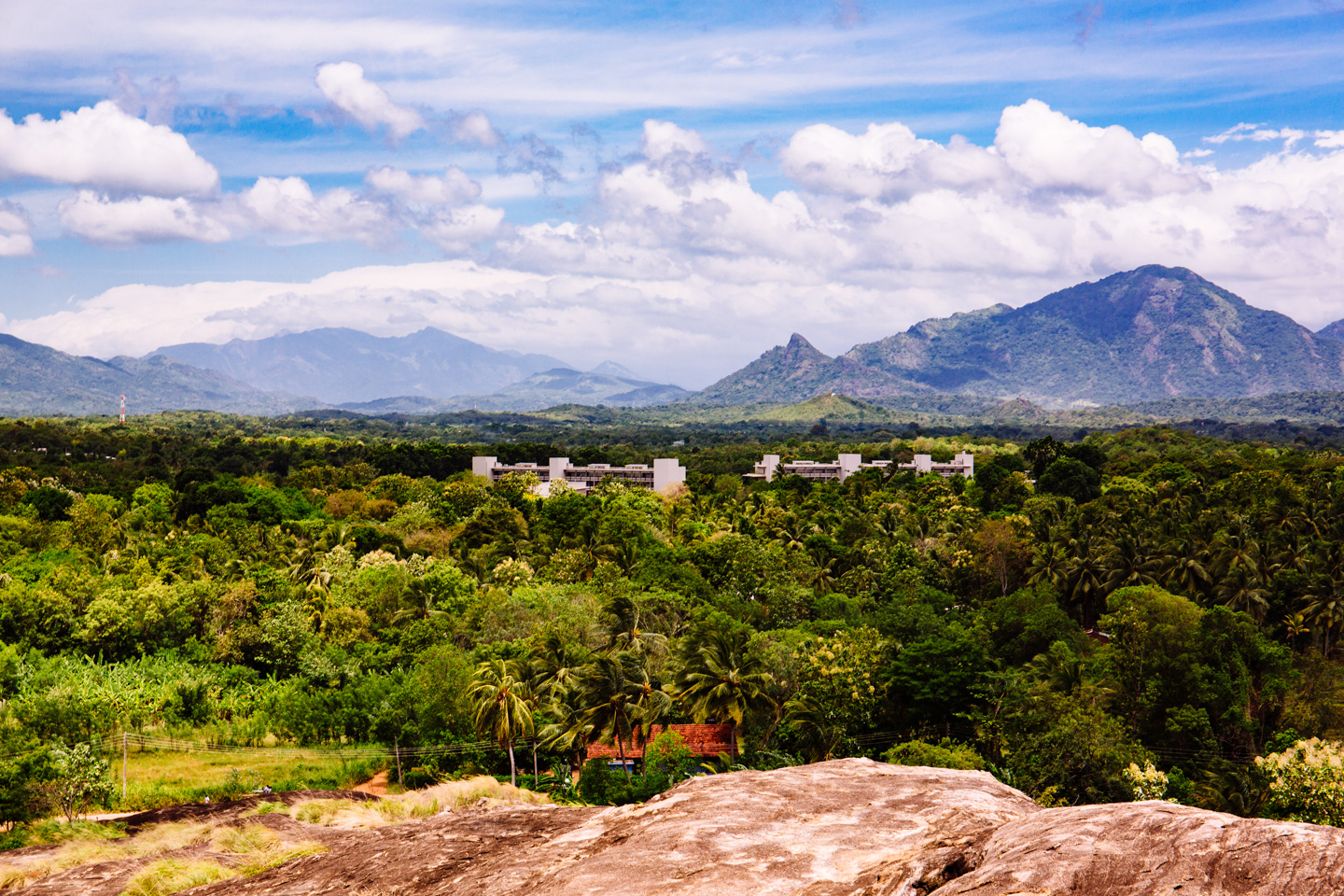 Dambulla View of Jetwing Lake - The Island Insider
